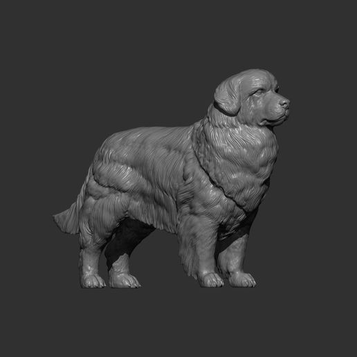 🐕 Newfoundlands 3D print model・ STL File for 3D printing・Cults