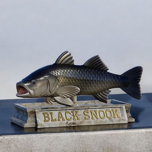 STL file fish black snook / robalo / Centropomus nigrescens open mouth ...