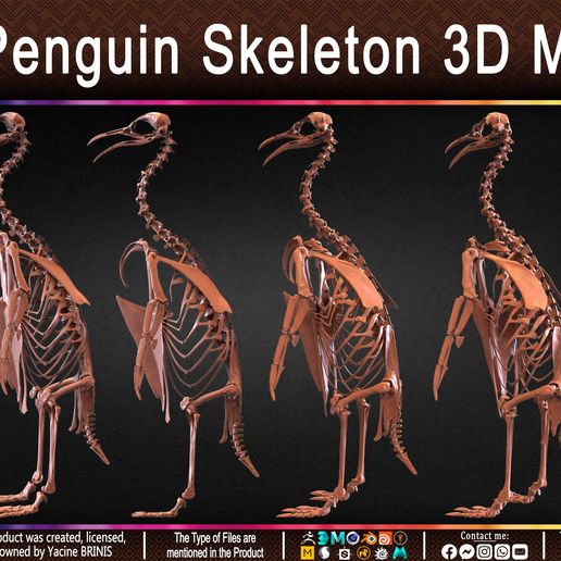 🐧 Penguin Skeleton 3D Model・ 3D File for 3D printing・Cults