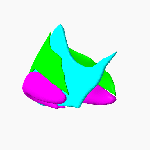 🩻 NASAL CARTILAGE SEGMENTED・ 3D File for 3D printing・Cults