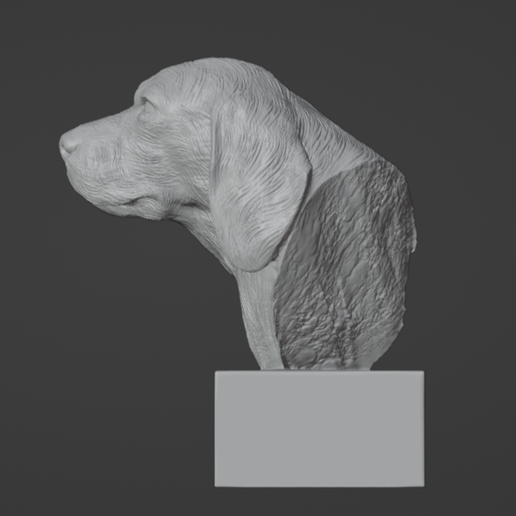 🐕 Beagle dog bust statue・ STL File for 3D printing・Cults