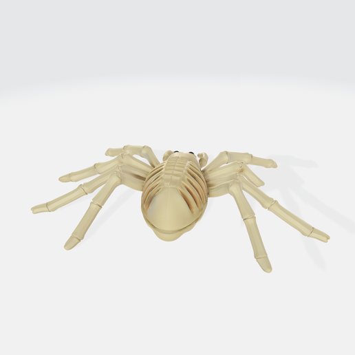 🕷️ Realistic Spider Skeleton – Cute Halloween Decoration・ 3D File for ...