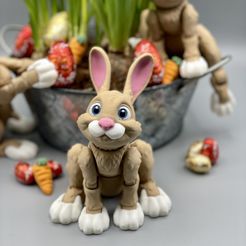 3D printer Bunny Rabbit articulated figure, print-in-place, cute-flexi ...