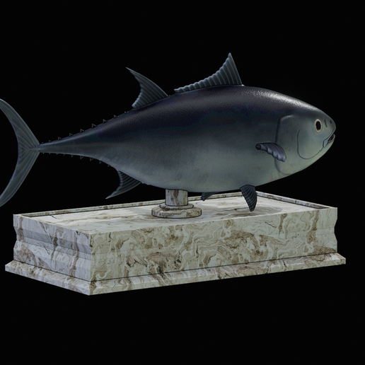 🐠 fish tuna bluefin / Thunnus thynnus with storage space / for 3d ...