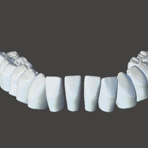 🦷 Tooth SET 4・ 3D File for 3D printing・Cults