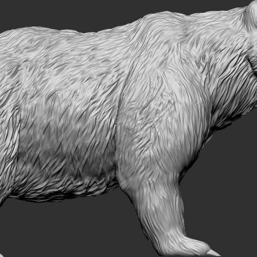 🐻 Bear 1# - STL - RPG MINIATURE・ OBJ File for 3D printing・Cults