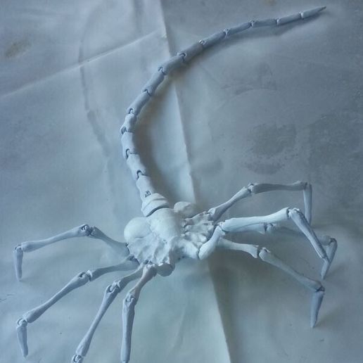 👽 Agisis Ultimate Alien Face Hugger (40in x 23in - LIFE SIZE!)・Free STL ...