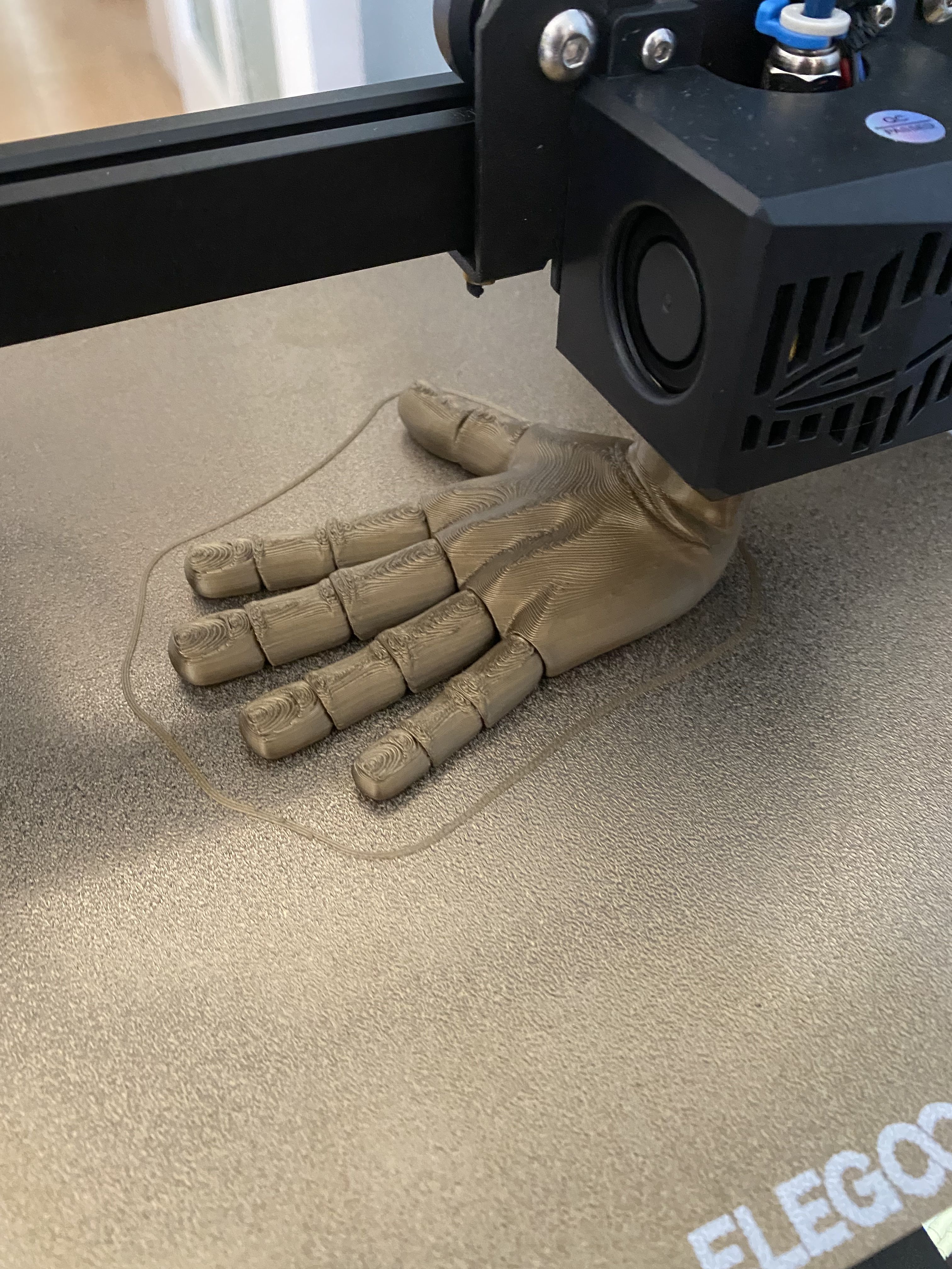 3D print Flexi PRINT-IN-PLACE Hand • made with Elegoo Neptune 2s・Cults