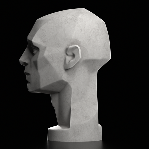 🧑‍🏫 Planes of the Head - John Asaro - 1976・ STL File for 3D printing・Cults