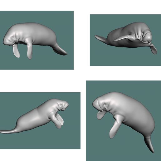 🚰 Manatee, Manatee・ STL File for 3D printing・Cults