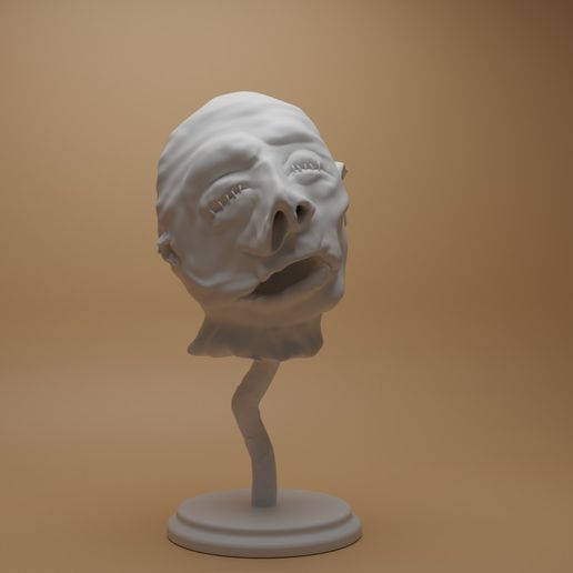 Archivo STL Cabeza reducida 👫 ・Modelo para descargar y imprimir en 3D・Cults