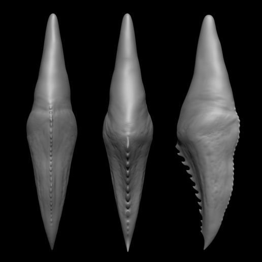 🎬 3D PRINTABLE DAY SHIFT MOVIE EXTRACTED VAMPIRE FANGS・ STL File for ・Cults