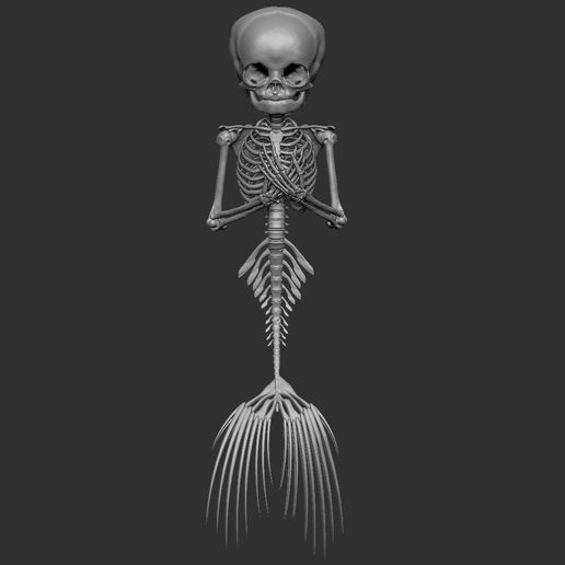💀 Skeleton Mermaid Fetus・ STL File for 3D printing・Cults