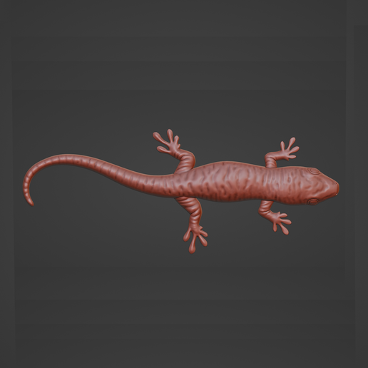 STL file Gecko 3d relief .stl file 📁 ・3D print model to download・Cults