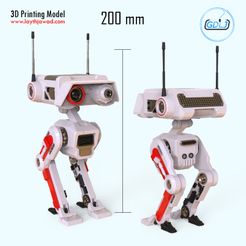 Bd 1 best STL files for 3D printing・16 models to download・Cults