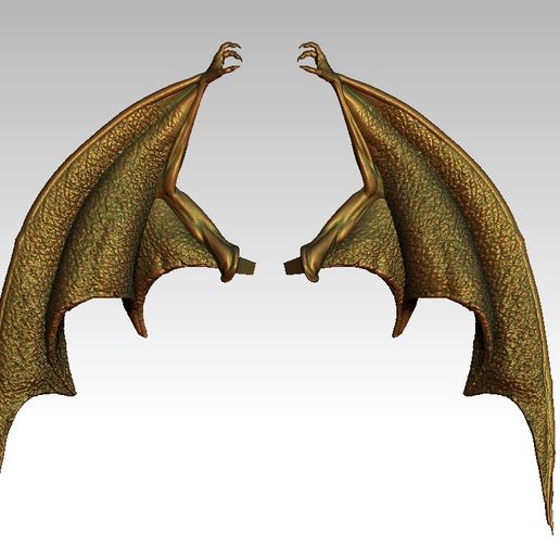 🎨 10 3d wings 3D print model・ STL File for 3D printing・Cults