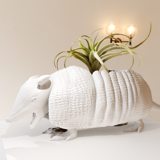 👄 armadillo mouth open planter pot flower vase stl・ STL File for 3D ...