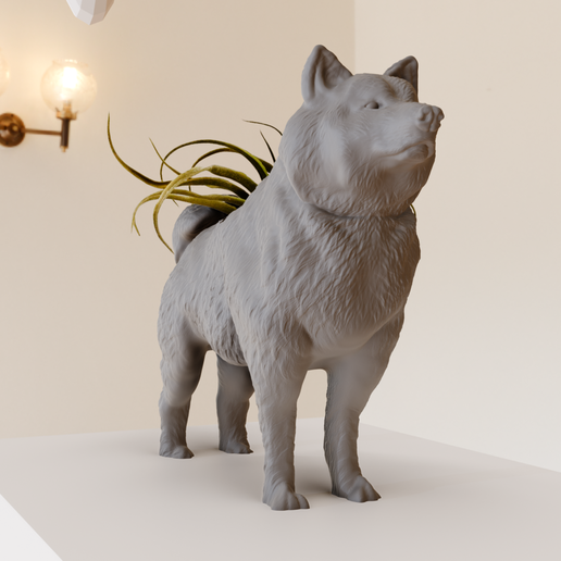 STL file Akita inu planter pot flower vase stl 🪴 ・3D print design to ...
