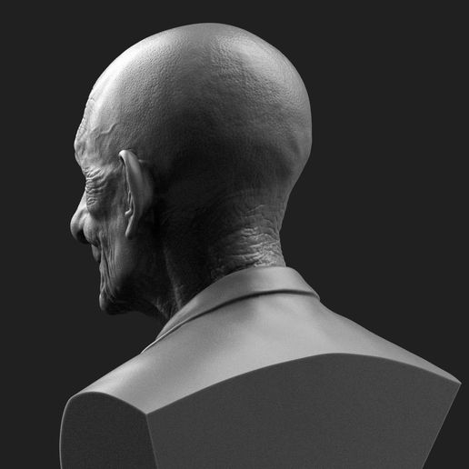 STL file Old man 👴 (OBJ)・Model to download and 3D print・Cults