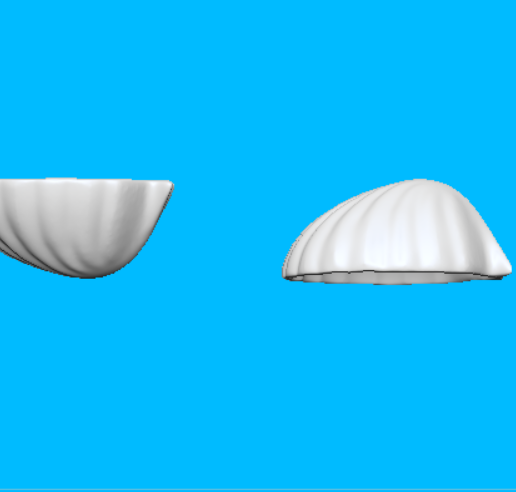 🐚 Shell Decor・ STL File for 3D printing・Cults