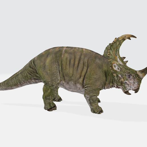 Archivo 3D Sinoceratops 🦖 ・Modelo para descargar y imprimir en 3D・Cults