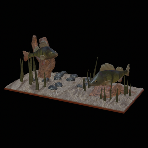 🎏 two perch scenery in underwather for 3d print detailed texture・Free ...