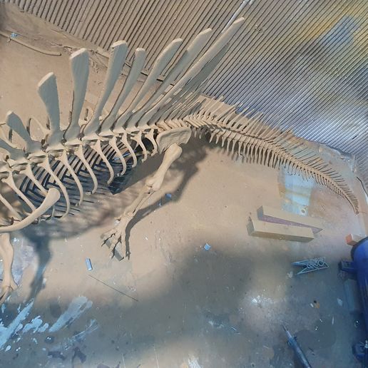 💀 Spinosaurus aegyptiacus skeleton v1,v2 and version JP3 model 3d print ...