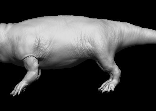 ambulocetus animation