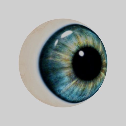 OBJ file Eye 3D Model 👁️ ・3D printer model to download・Cults
