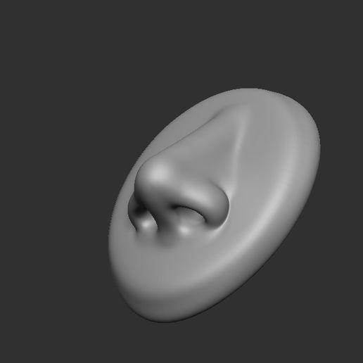 STL file Nose (piercing practice) 👃 (OBJ)・3D print design to download・Cults