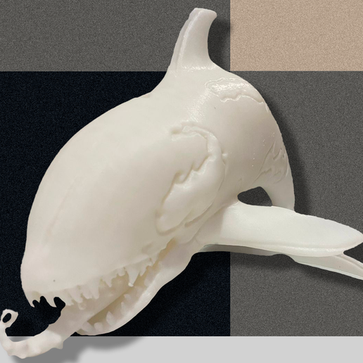 🐳 Killer Whale Venom・ STL File for 3D printing・Cults