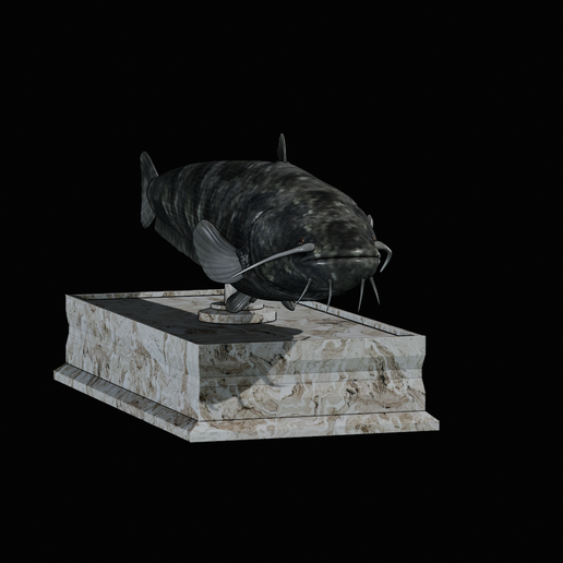 🐠 fish catfish / Silurus glanis with storage space / for 3d printing ...