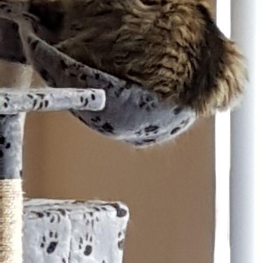 🐱 Cat Condo / activity scratching Pole repair kit. (For owners of fat ...