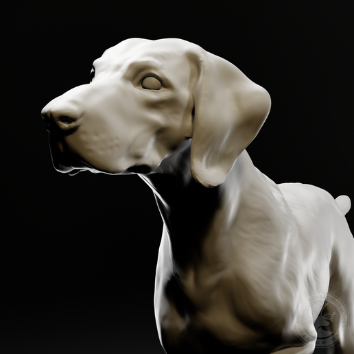 🐕 German Shorthaired Pointer・ STL File for 3D printing・Cults