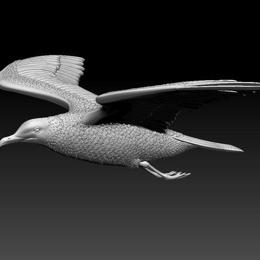 STL file Seagull 🐦 (OBJ)・3D printer design to download・Cults