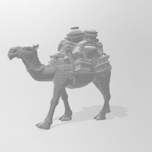 camelcamel