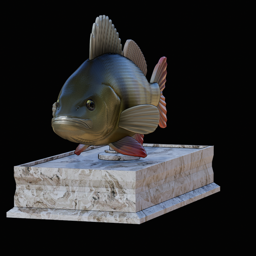 🐠 fish european perch / Perca fluviatilis with storage space / for 3d ...
