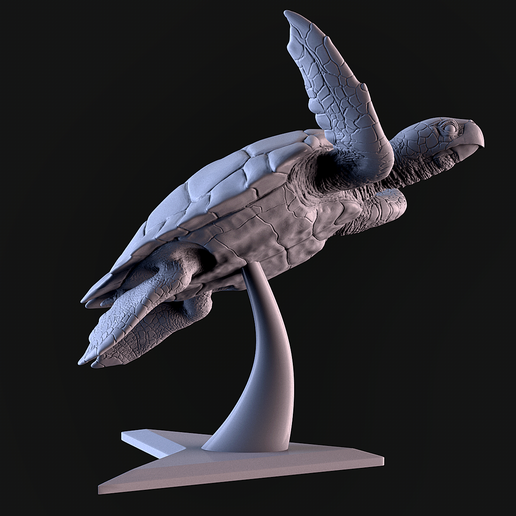 🐢 Turtle・ STL File for ・Cults