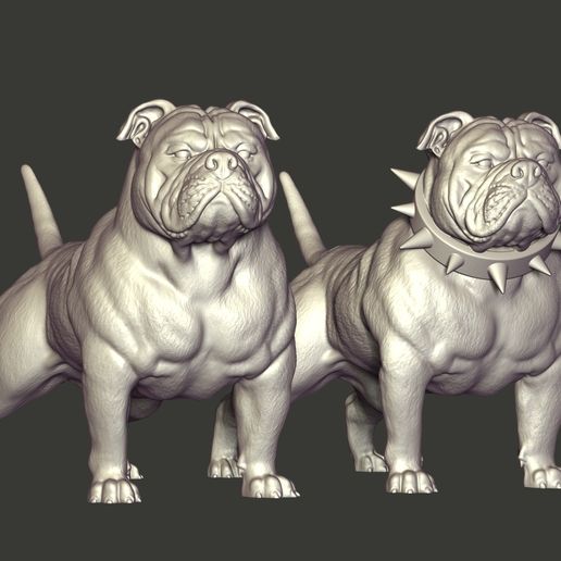👤 American Bully・ STL File for 3D printing・Cults