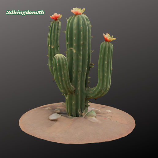 🌵 3D printable cactus model・Free STL File for 3D printing・Cults