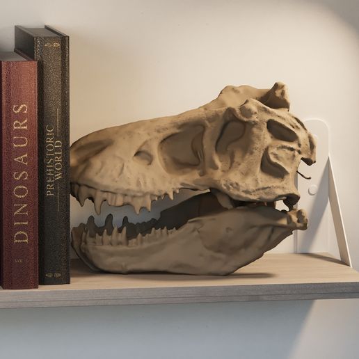🦖 Tyrannosaurus (T-rex) skull 3D Print - dinosaur・ OBJ File for 3D ...