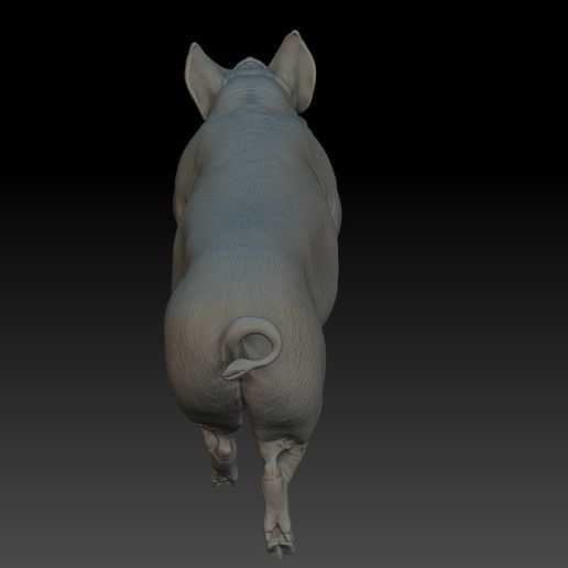 STL file Pig Animal 🐖 (OBJ)・3D printable model to download・Cults