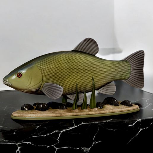 🐠 fish common tench / tinca tinca statue underwater detailed texture ...