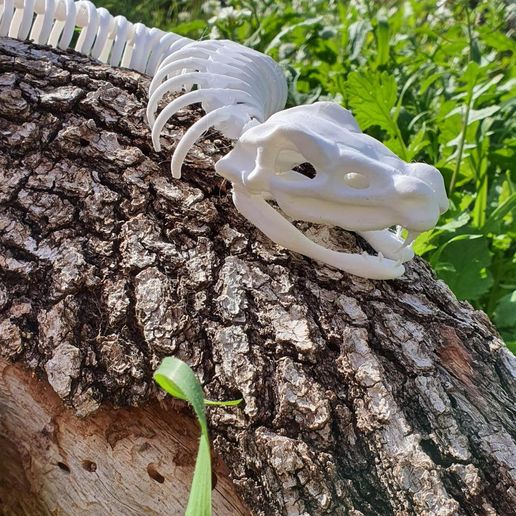 3D file Articulated snake skeleton 🐍 ・Design to download and 3D print・Cults