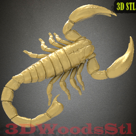 STL file Scorpio 3d,3D stl model relief wall decor, CNC Router Engraver ...