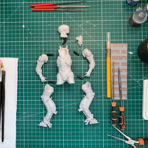 🎨 Anthem Ranger Javelin and Colossus Torso・ STL File for ・Cults