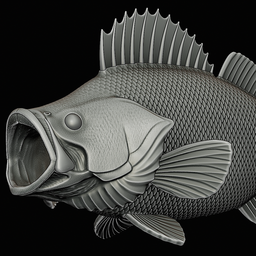🐠 fish european perch / Perca fluviatilis natural base detailed texture ...