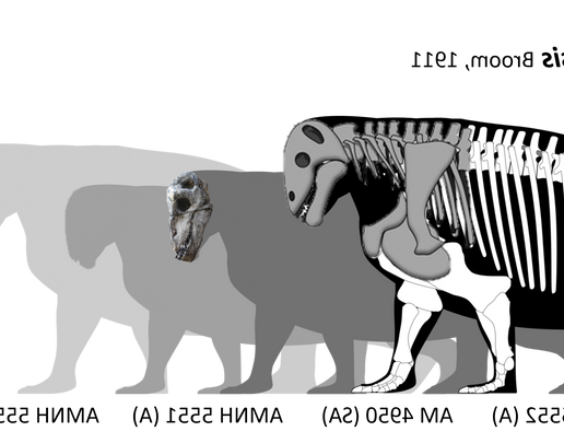 👗 Moschops・Free STL File for 3D printing・Cults