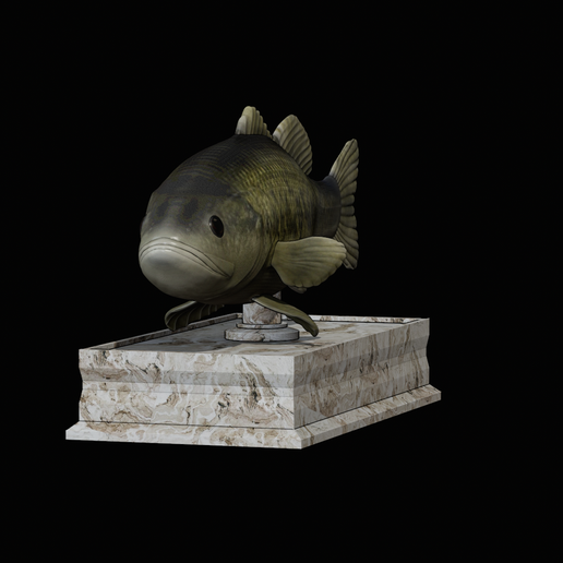 🐠 fish Largemouth Bass / Micropterus salmoides with storage space / for ...