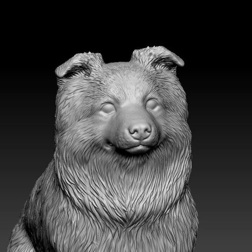 🐕 Mini Australian Shepherd・ STL File for 3D printing・Cults